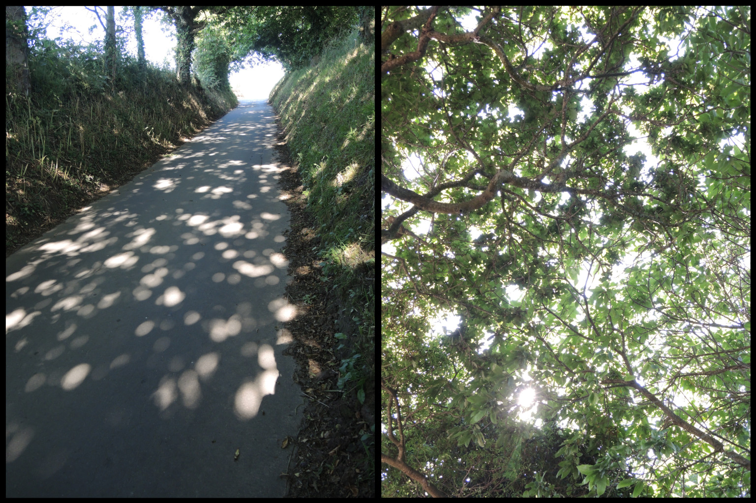 Shapes of Shadows – Mr Tarrant's physbang 'blog